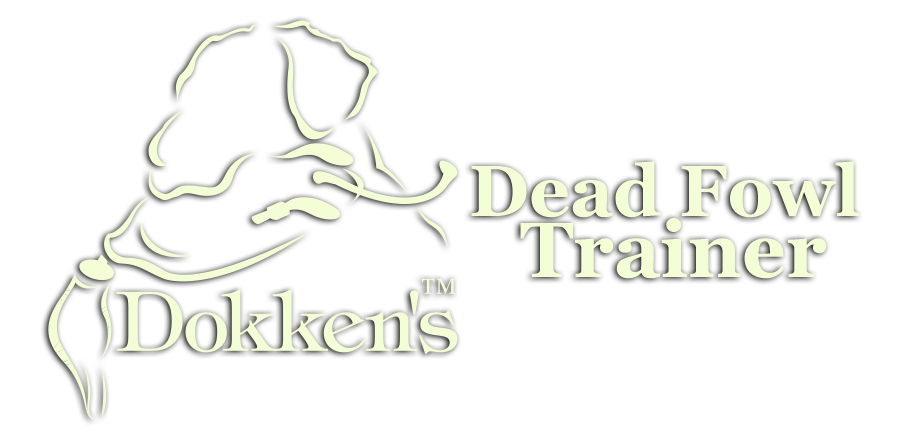 Deep Fork Retrievers | Retriever Training Center